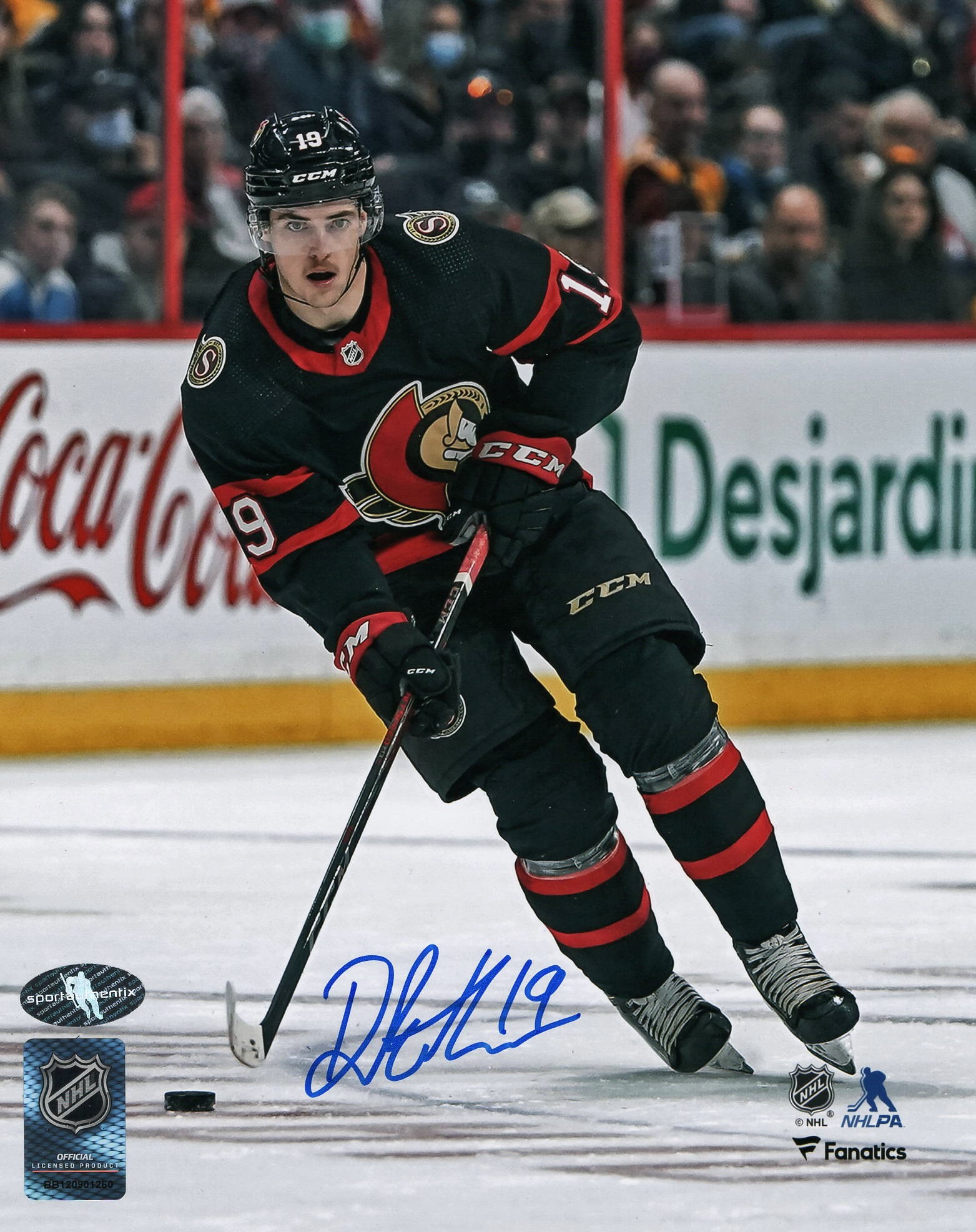 ACA Certification - Boutique / Store